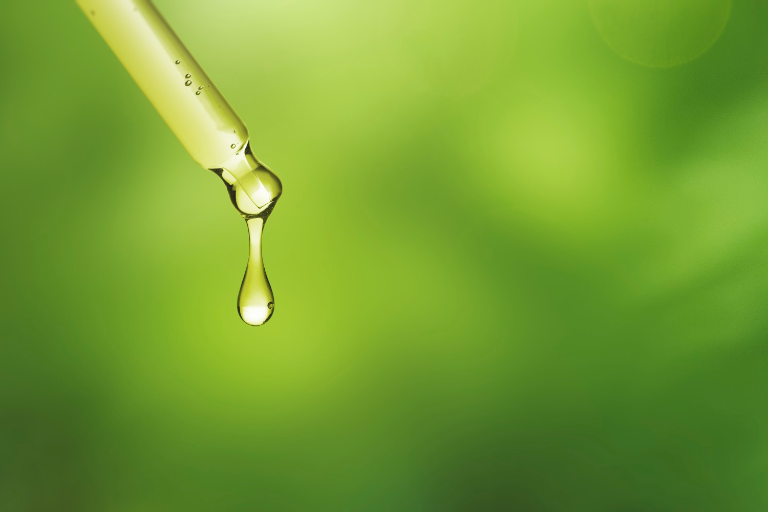 Top 7 Surprising Benefits Of Using Moringa Oil For Skin